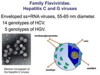 HEPATITIS.ppt