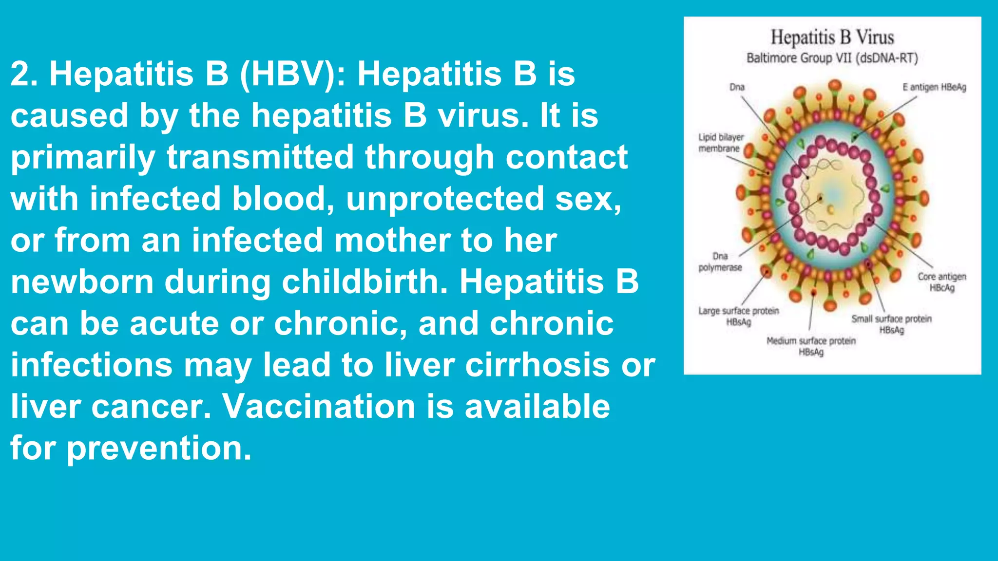 Hepatitis.pptx