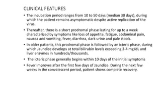 hepatitis.pptx