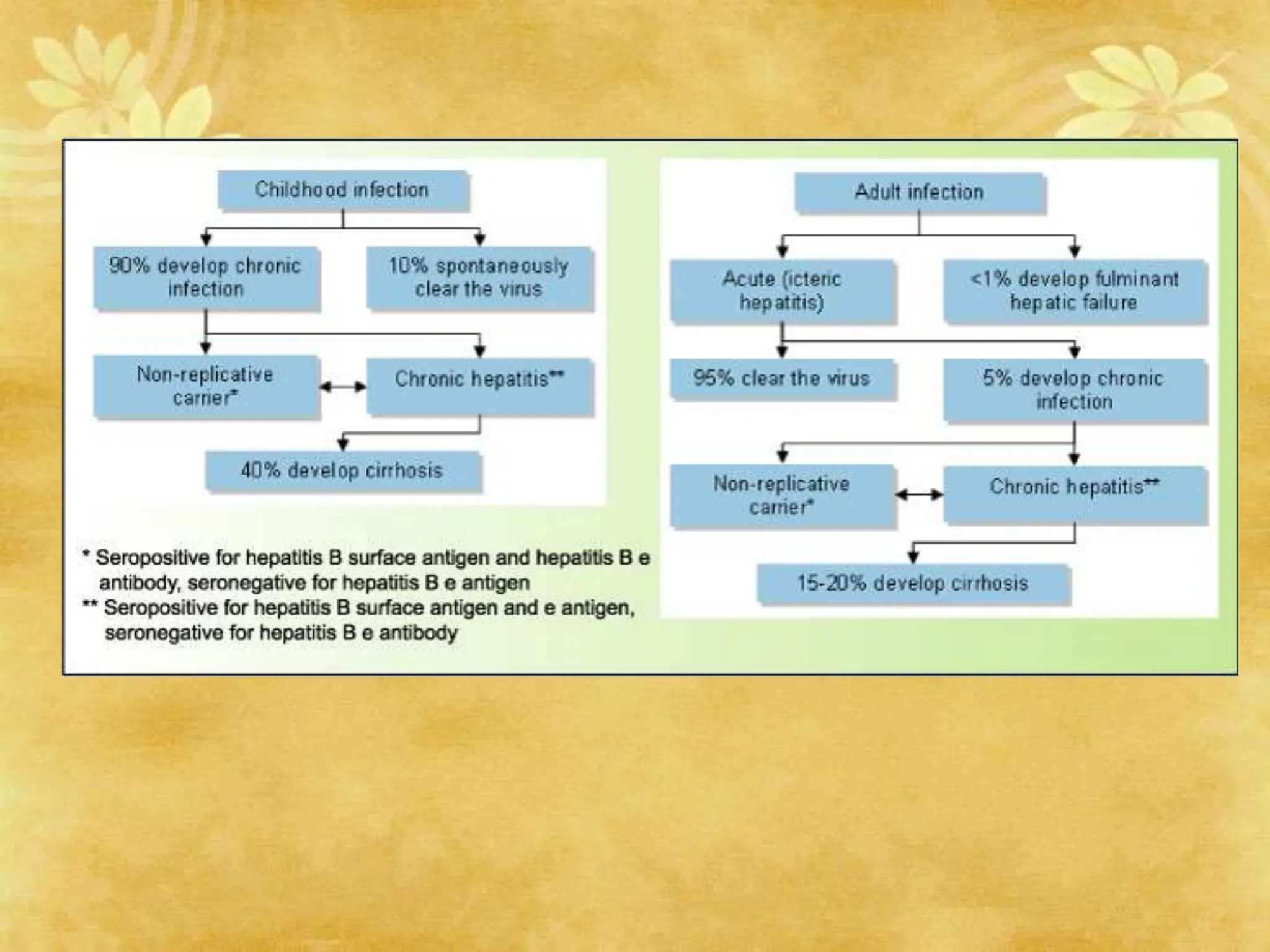 hepatitis.ppt