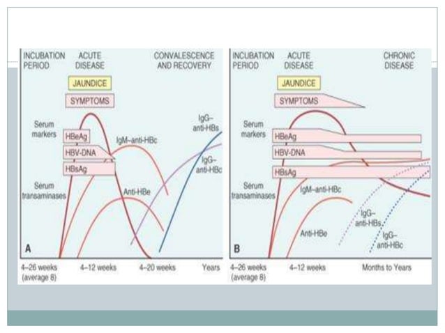 Viral Hepatitis disease pathogenesis hbsag | PPTX | Infectious Diseases ...