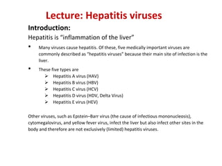Hepatitis.pdf medical,bsn ppt mlt,rit anesthesia | PDF