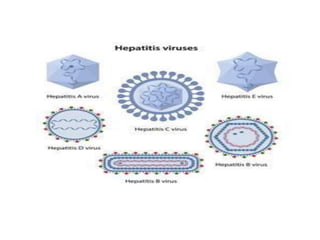 Hepatitis.pdf medical,bsn ppt mlt,rit anesthesia | PDF