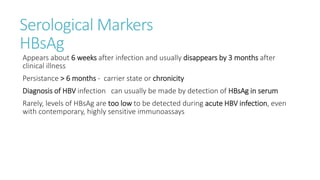Hepatitis -B implications , investigations and management | PPTX