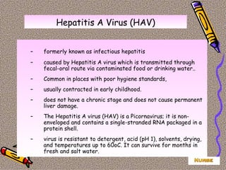 Hepatitis | PPT