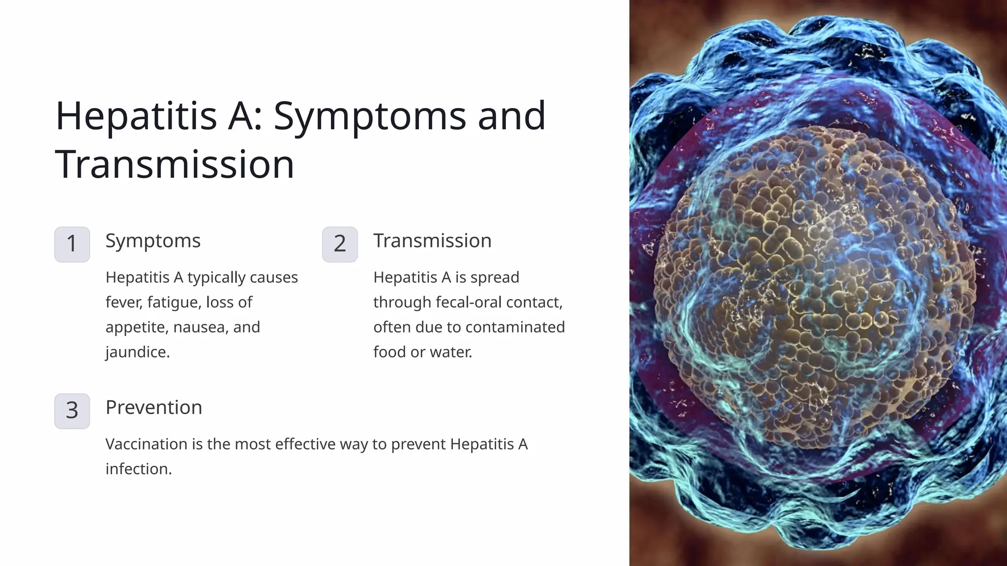 Hepatitis-Types-Symptoms-and-Management.pptx