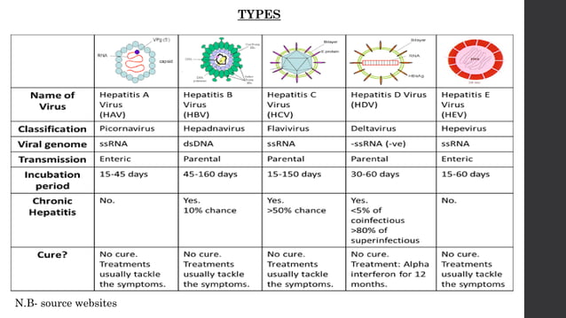 Hepatitis , PPT by Arun Kumar Dutta, Pathophysiology of Hepatitis ...