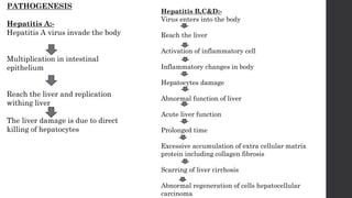 Hepatitis , PPT by Arun Kumar Dutta, Pathophysiology of Hepatitis ...