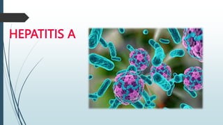 HEPATITIS A.pptx