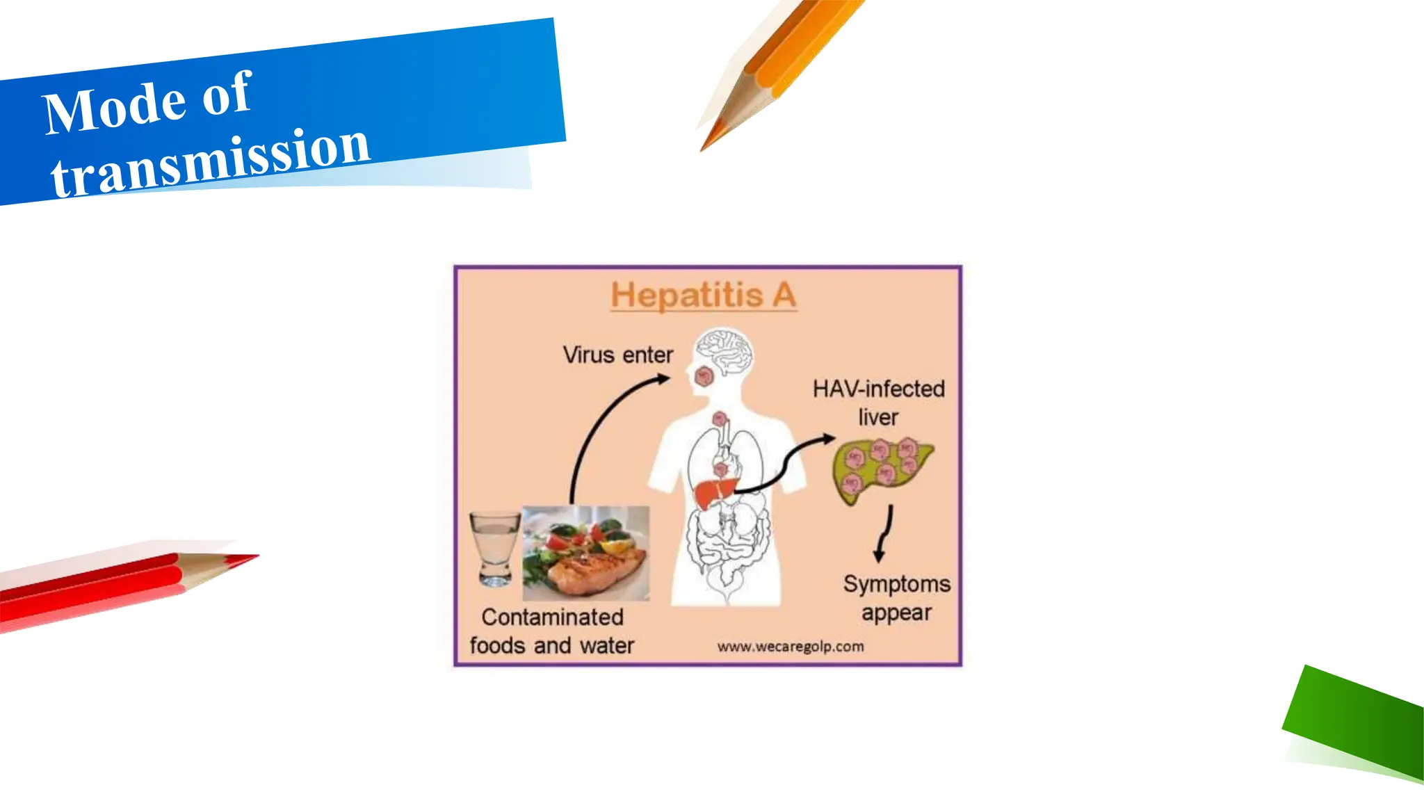 HEPATITIS A.pptx