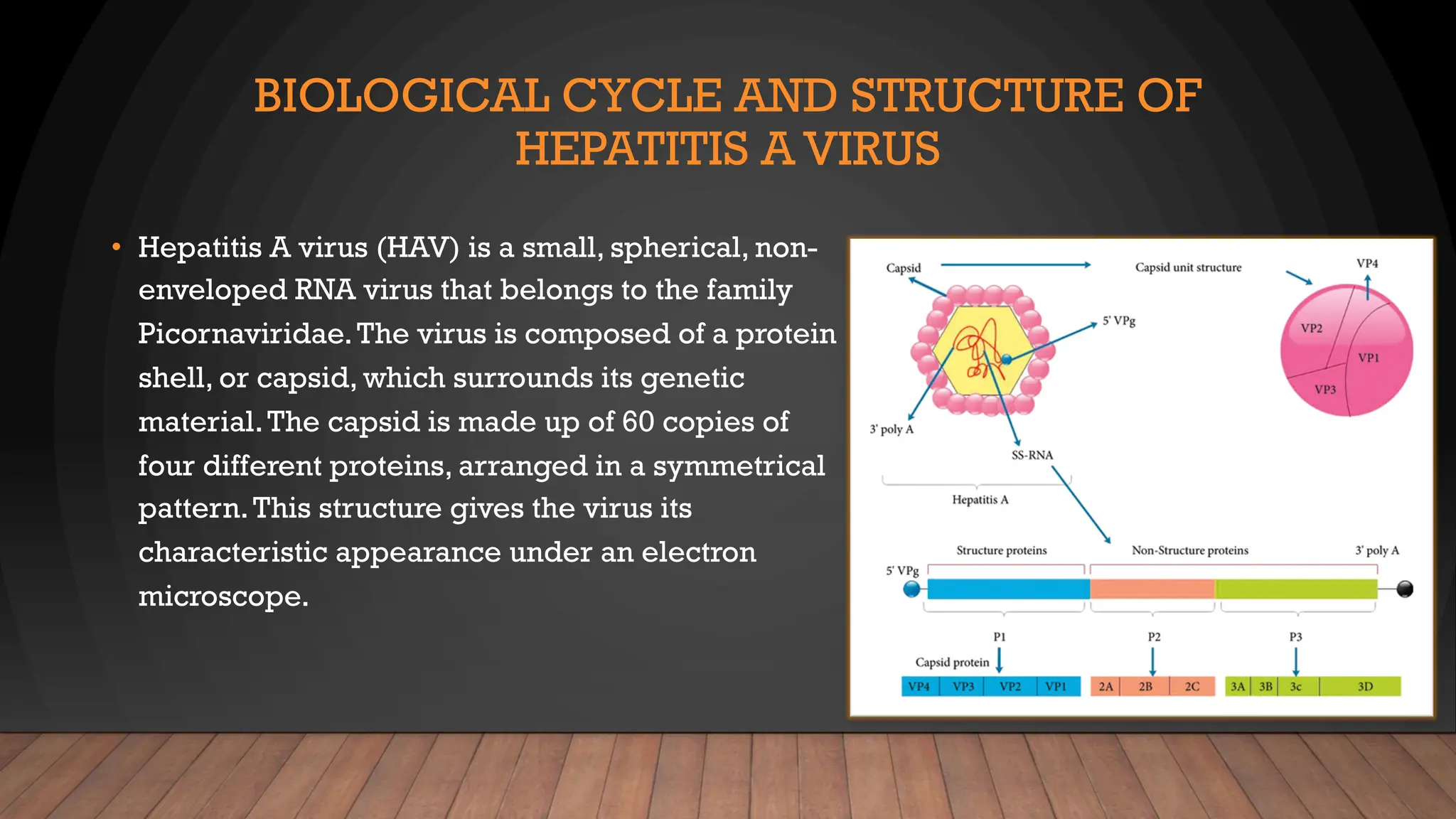 Understanding Hepatitis A: Causes, Impact, and Prevention | PDF