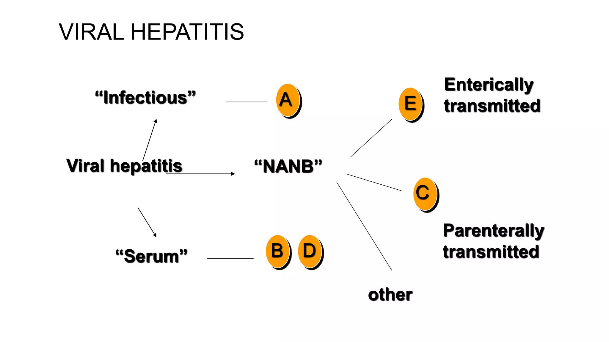 Hepatitis A and E | PPTX