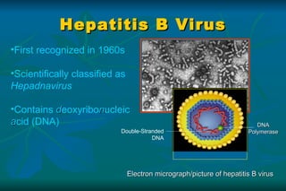 Hepatitis Abc | PPT