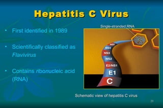 Hepatitis Abc | PPT