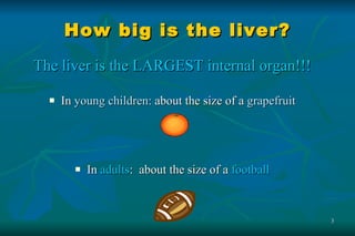 Hepatitis Abc | PPT