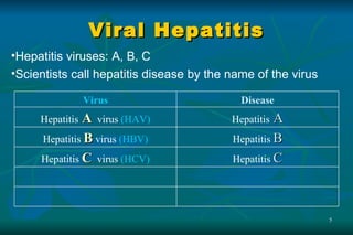 Hepatitis Abc | PPT
