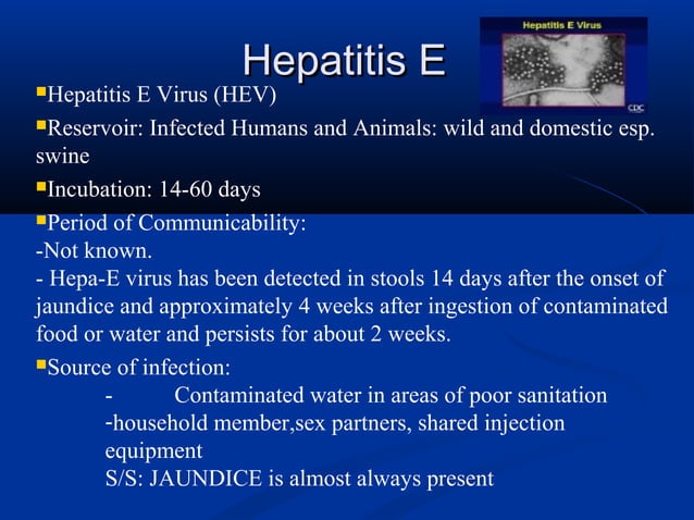 Hepatitis abcde.ppt