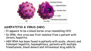HEPATITIS AND HUMAN CANCER VIRUSES.pptx