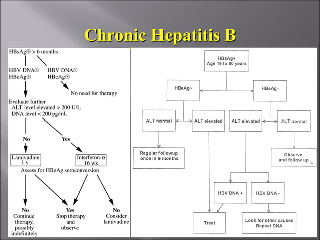 Hepatitis and interferons | PPT