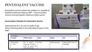 hepatitis and pentavalent hib mr vaccine.pptx