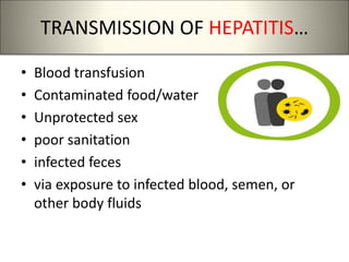 Hepatitis and the liver | PPT