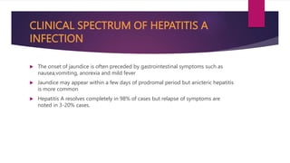Hepatitis A Virus | PPTX