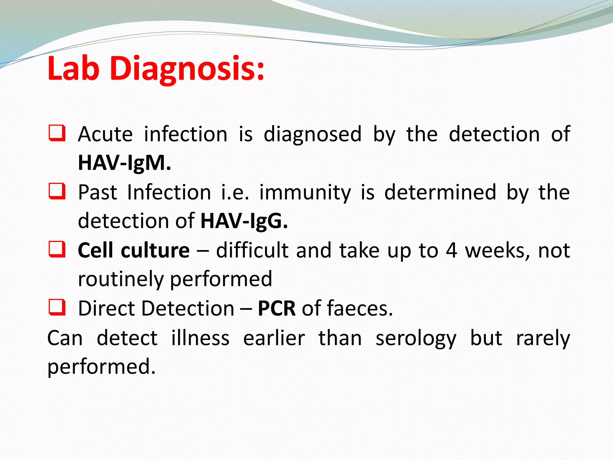 Hepatitis A Virus (HAV).pptx