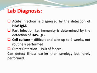 Hepatitis A Virus (HAV).pptx