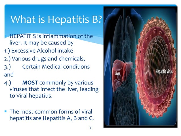 Hepatitis b | PPT