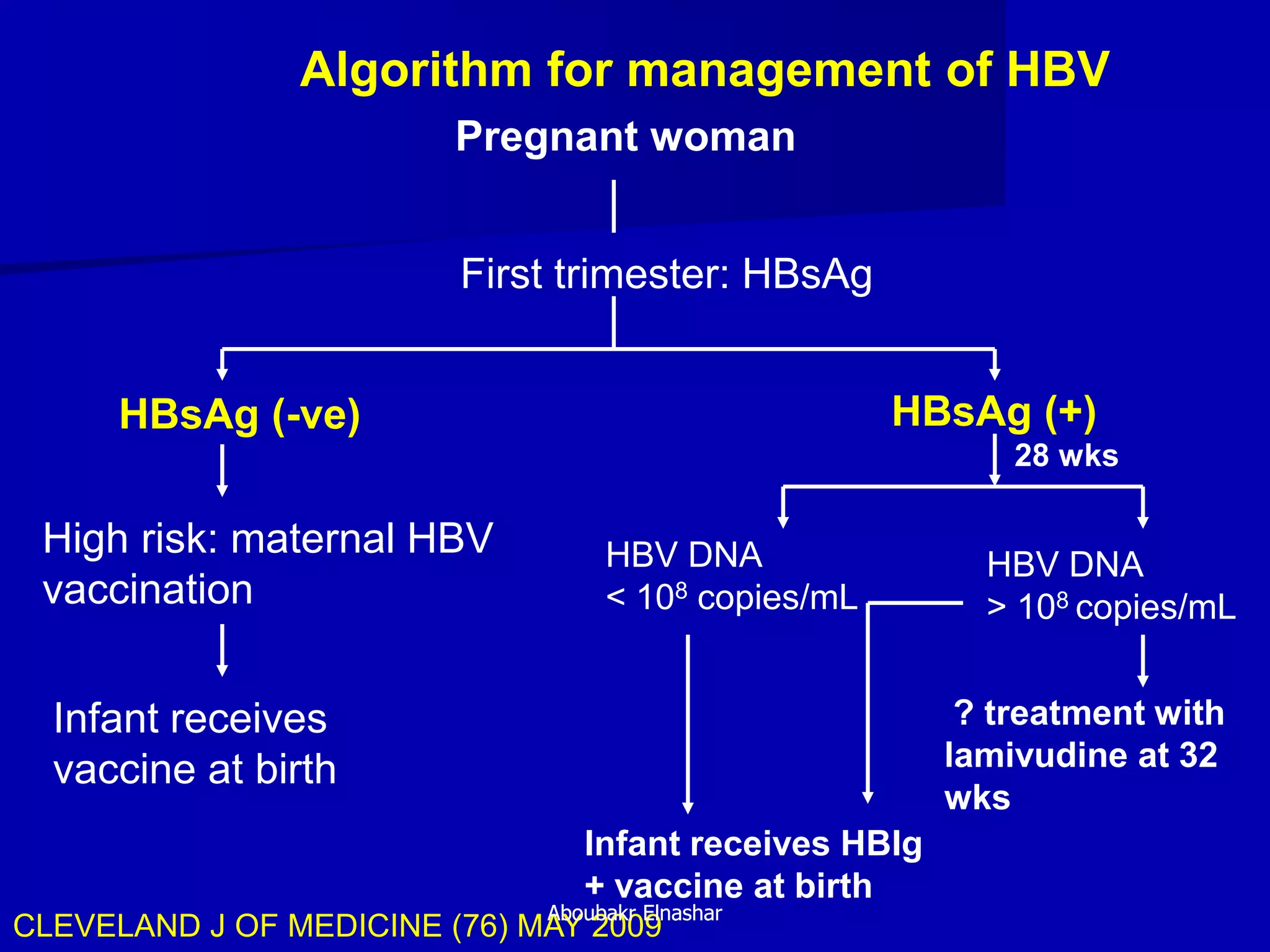 Hepatitis B in Pregnancy | PDF