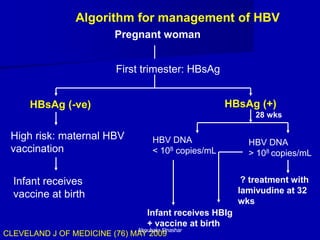 Hepatitis B in Pregnancy | PDF