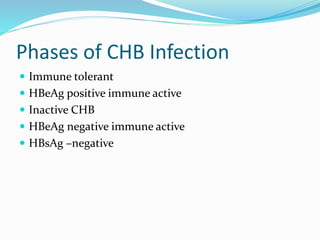 Hepatitis b | PPT