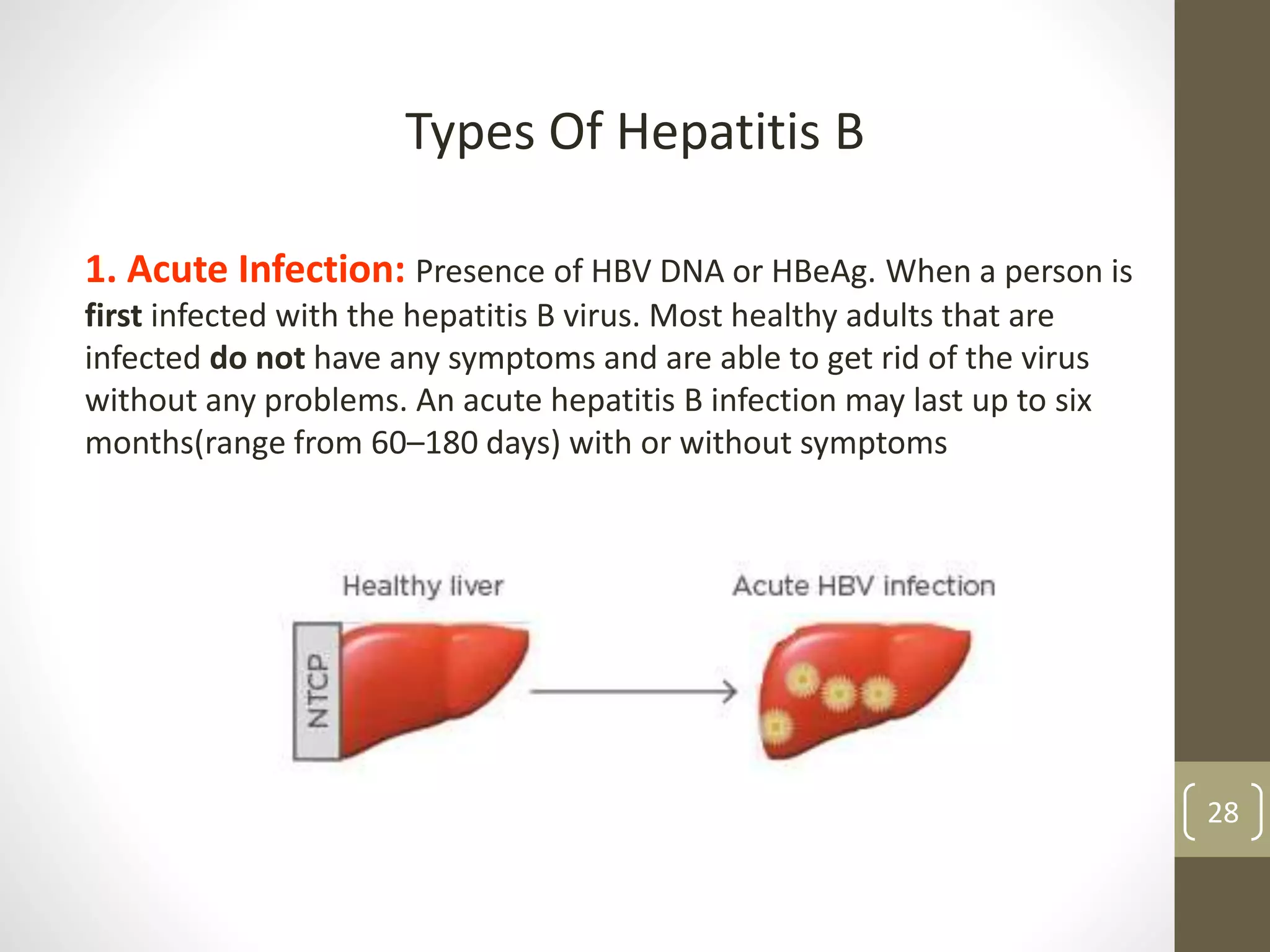 Hepatitis B | PPT