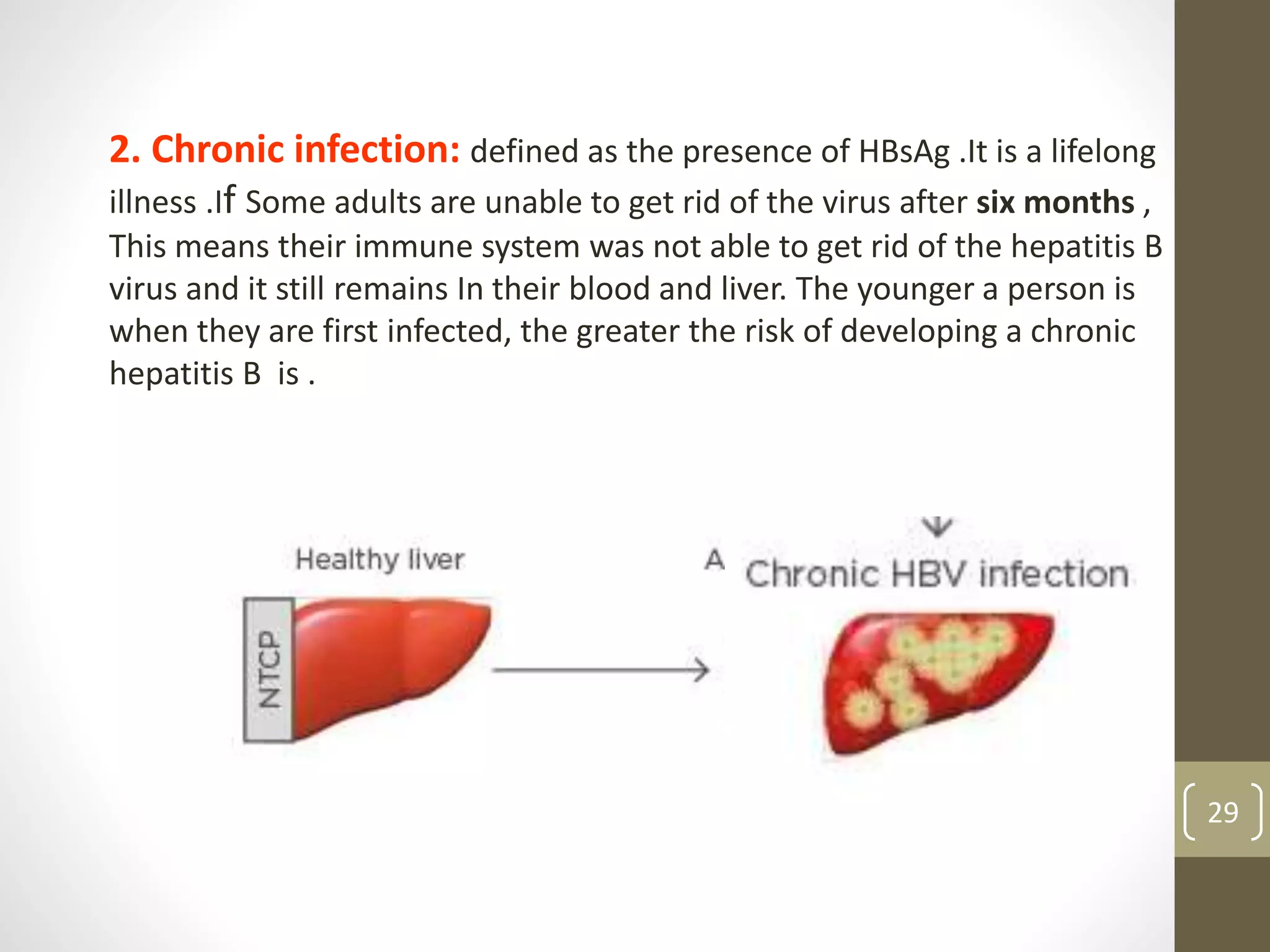 Hepatitis B | PPT