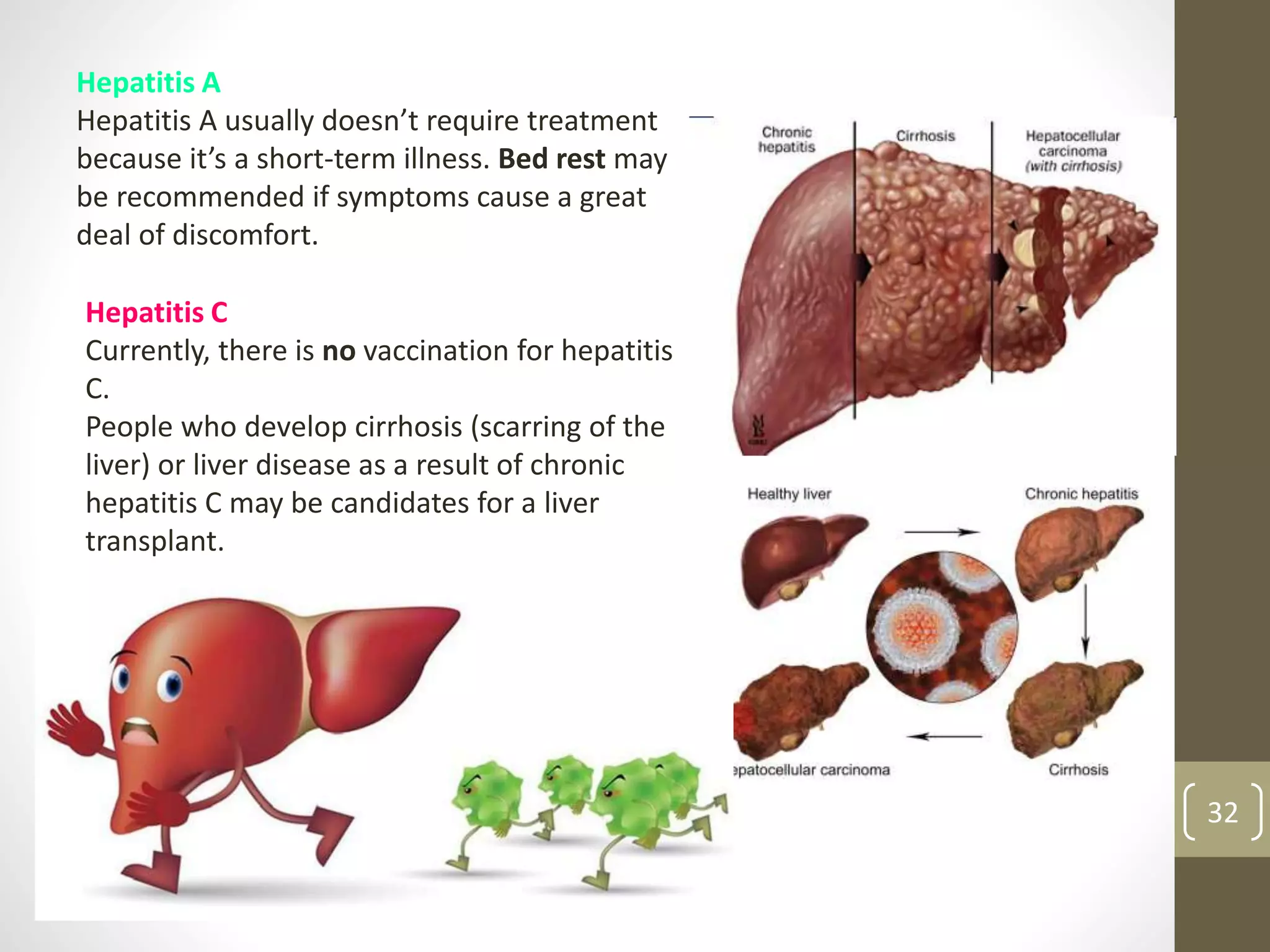 Hepatitis B | PPT
