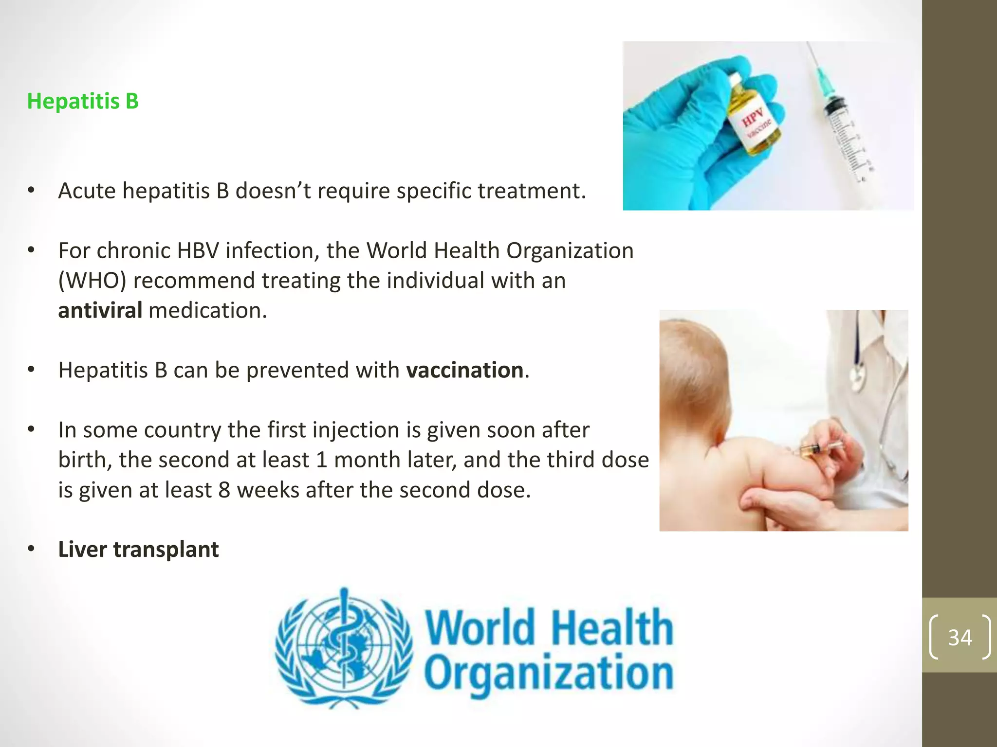 Hepatitis B | PPT