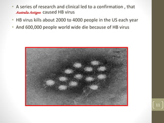 Hepatitis B | PPTX