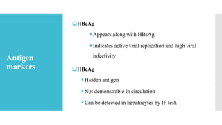 Hepatitis B Infection- HBsAg | PPTX | Infectious Diseases | Diseases ...