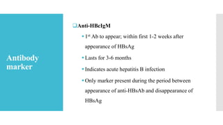 Hepatitis B Infection- HBsAg | PPTX