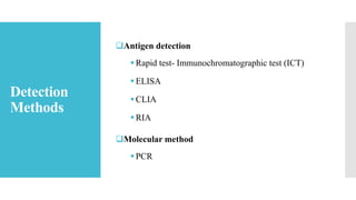 Hepatitis B Infection- HBsAg | PPTX