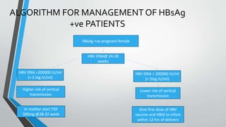 Hepatitis B - Copy.pptx | Pregnancy | Reproductive Health
