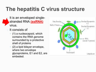 Pharmacology of HCV and HBV infections. | PPT