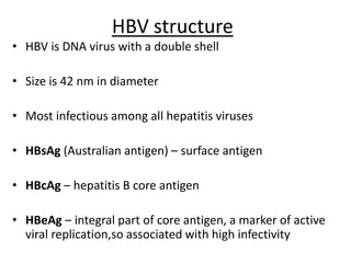 Hepatitis b & c | PPTX