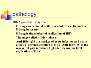Hepatitis b,c, &d | PPT
