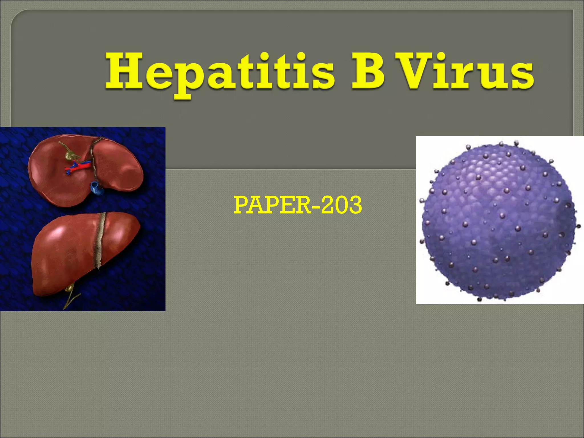 Hepatitis b final | PPT
