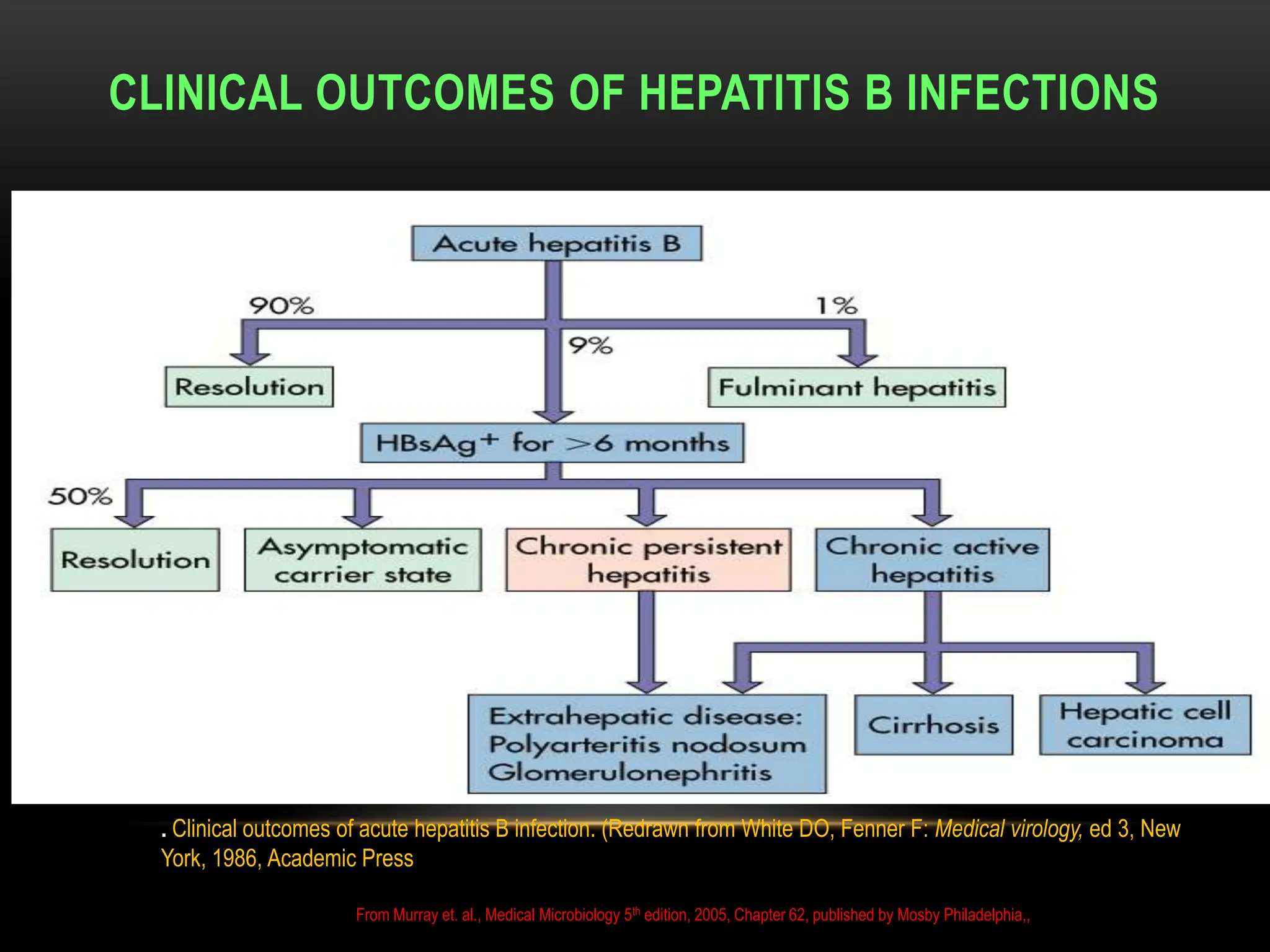 Hepatitis B Infection; Diagnosis and Interpretation.pdf