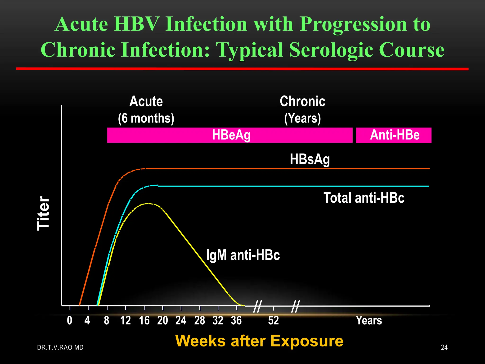 Hepatitis B Infection; Diagnosis and Interpretation.pdf