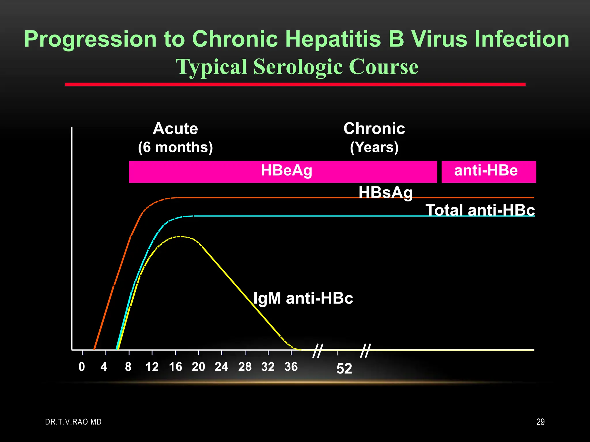 Hepatitis B Infection; Diagnosis and Interpretation.pdf