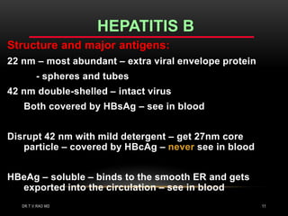 Hepatitis B Infection; Diagnosis and Interpretation.pdf
