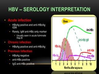 Hepatitis B Infection; Diagnosis and Interpretation.pdf